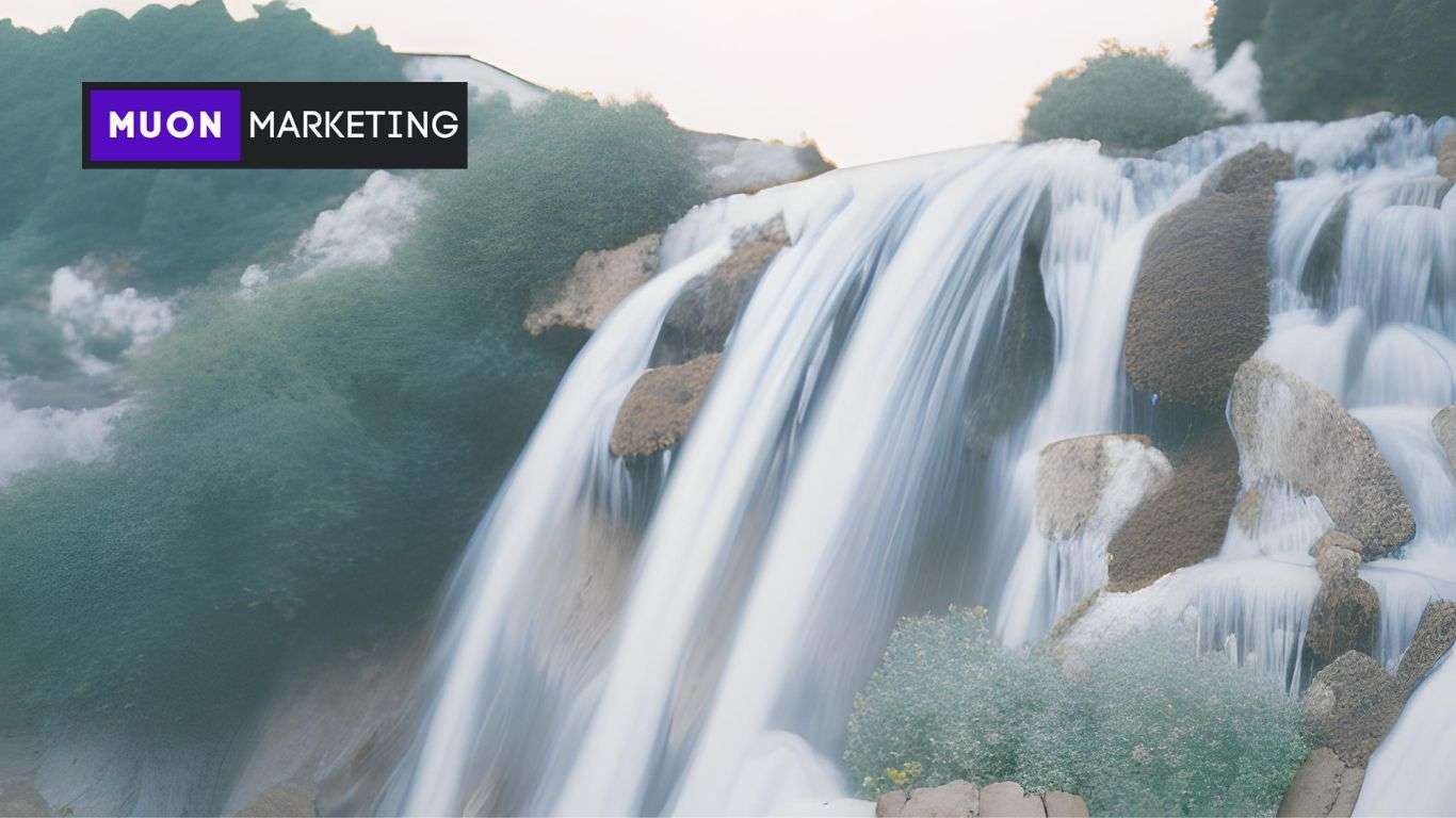 Reviews | Muon Marketing